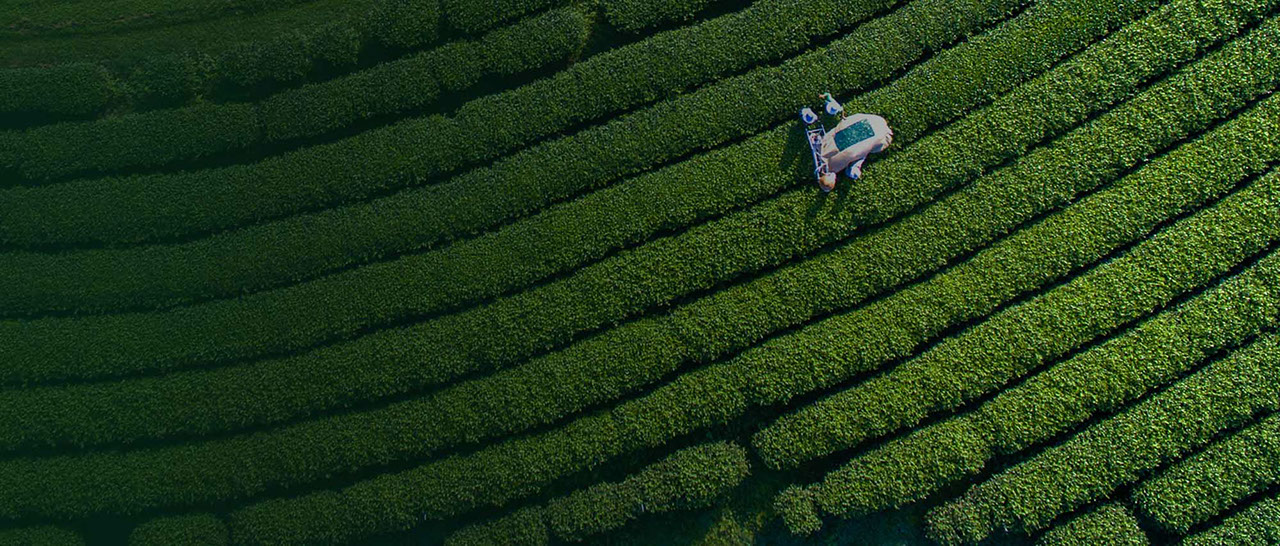 Managed Storage as a Service | Kyndryl