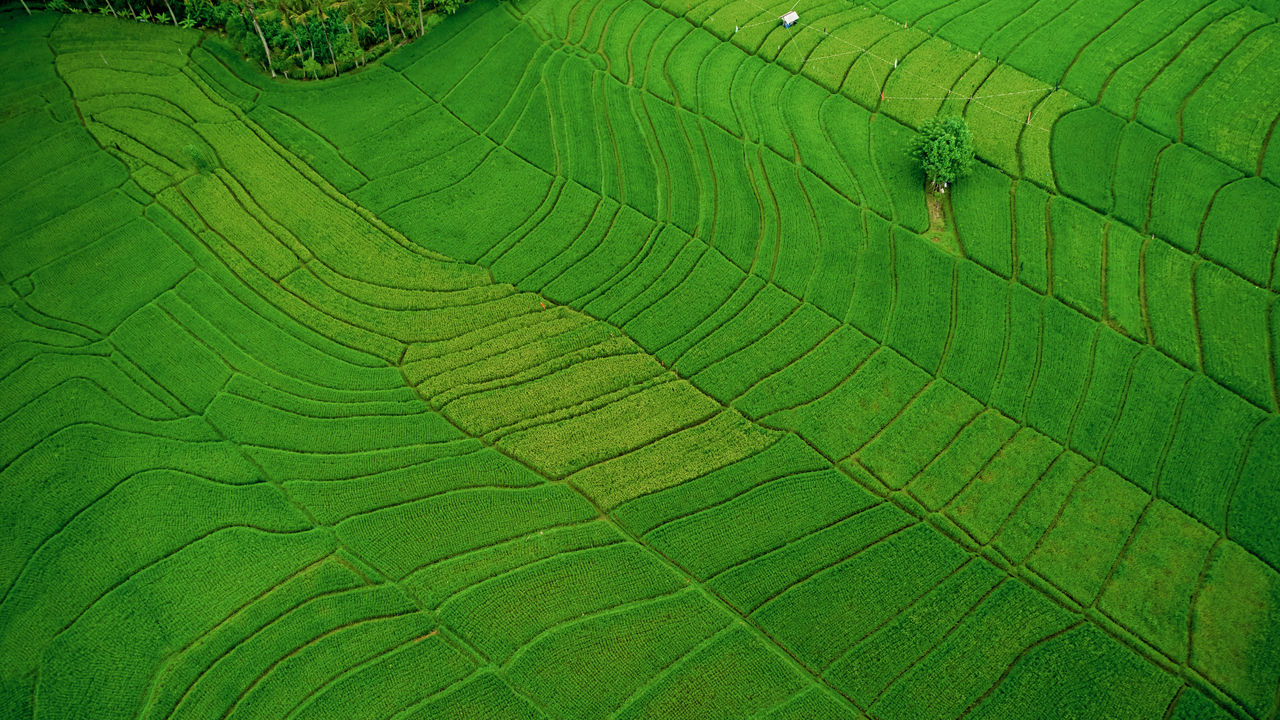 Hybrid SD-WAN | Kyndryl